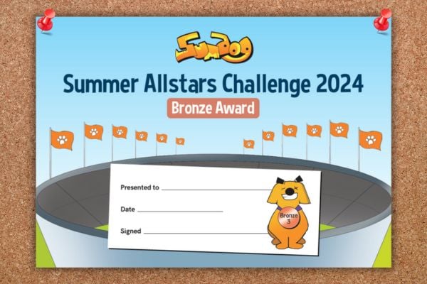 Summer Allstars Maths Challenge