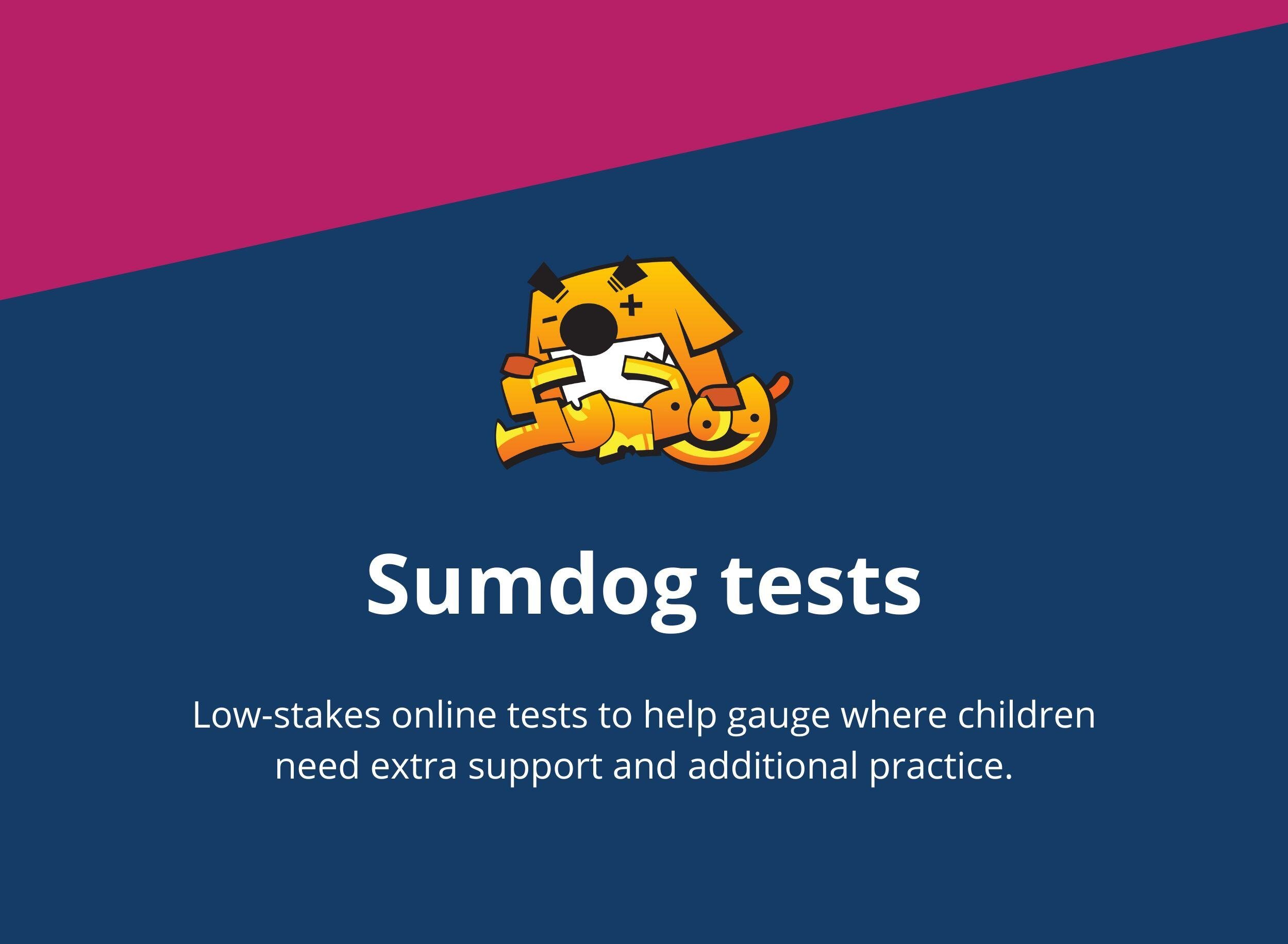 Sumdog's low-stakes maths tests